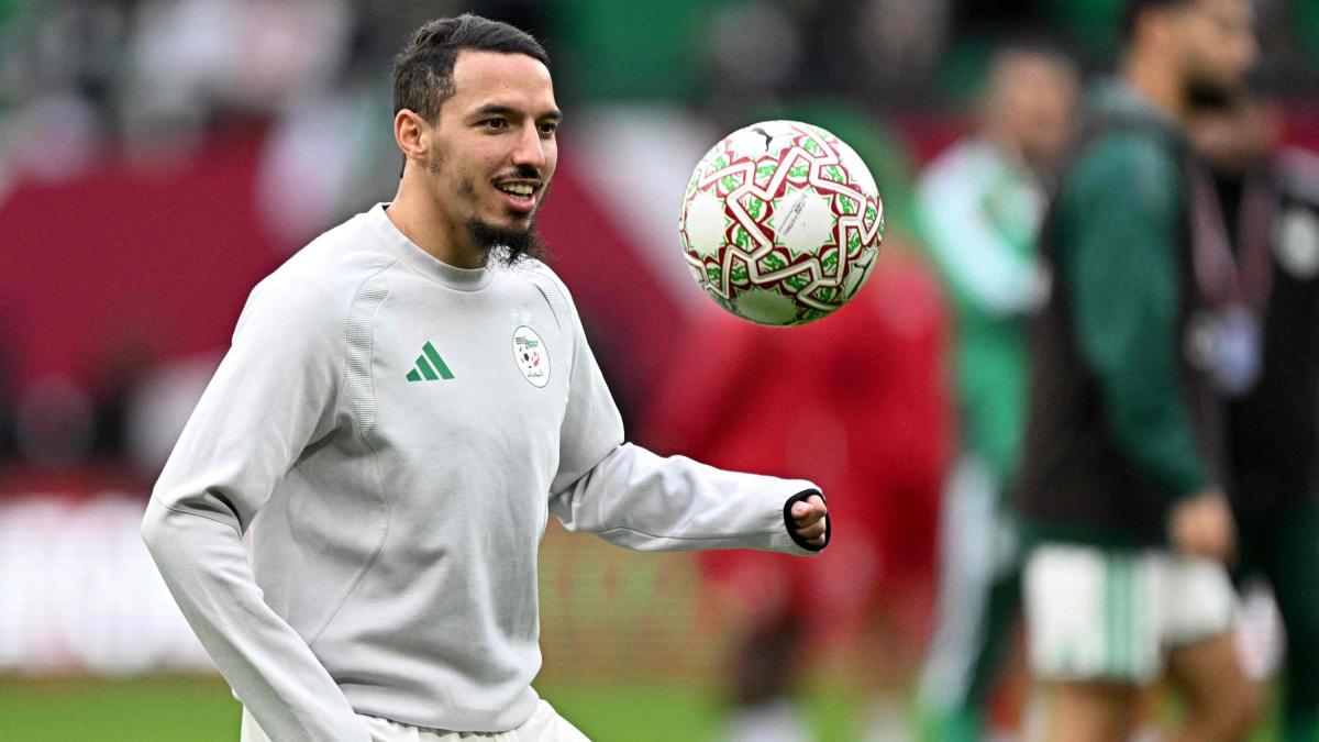 Boban Wants Bennacer Return to Dinamo Zagreb | TransfersDaily